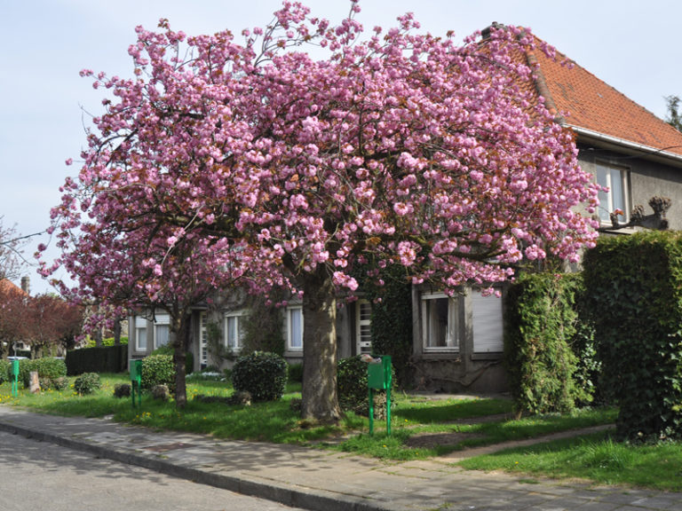 Le Logis Floréal - architectuurwijzer